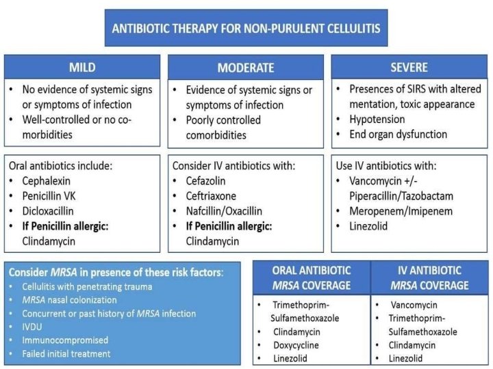 Skin Soft Tissue Infections Anatomy of the Skin
