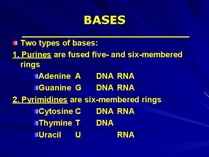 NUCLEOTIDES CHEMISTRY DR AMENA RAHIM BIOCHEMISTRY The whole