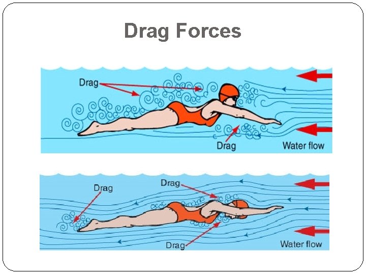 BIOMECHANICS FLUID MECHANICS STUDENTS LEARN ABOUT Flotation centre