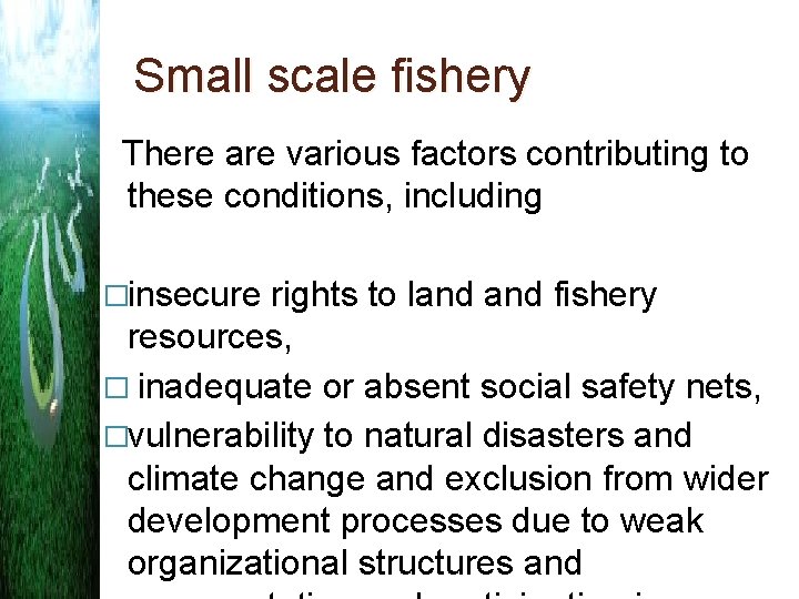 SUSTAINABLE SMALLSCALE FISHERIES experience from Thailand By Ravadee