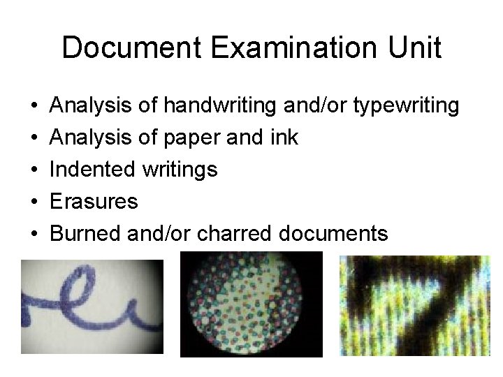 Units of a Typical Crime Lab Physical Science