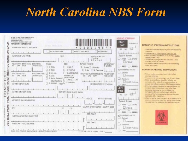 WCSWeb Hearing Link Data System and User Training
