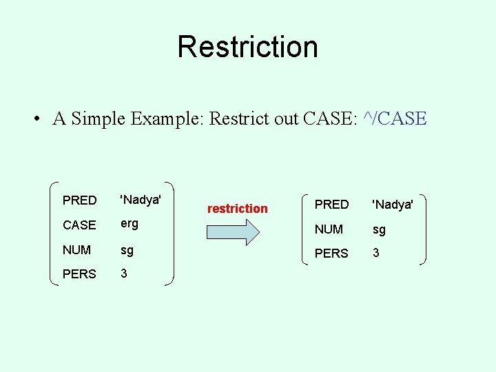 Urdu Grammar Report Miriam Butt UMIST Par Gram