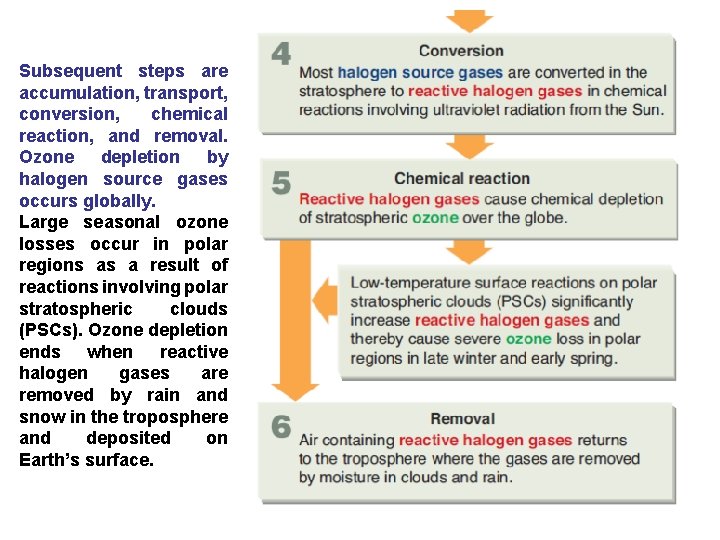 5 Ozone Pollution INTRODUCTION Ozone is present only