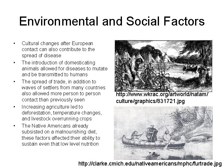 Disease and Depopulation Among Native Americans in New