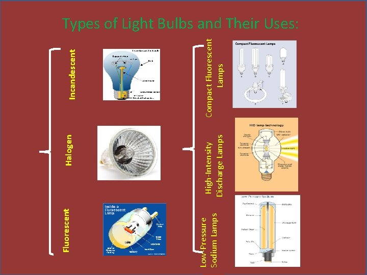 Light and heat different types of light bulbs