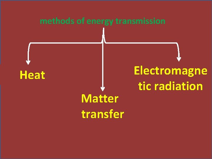 Light and heat different types of light bulbs