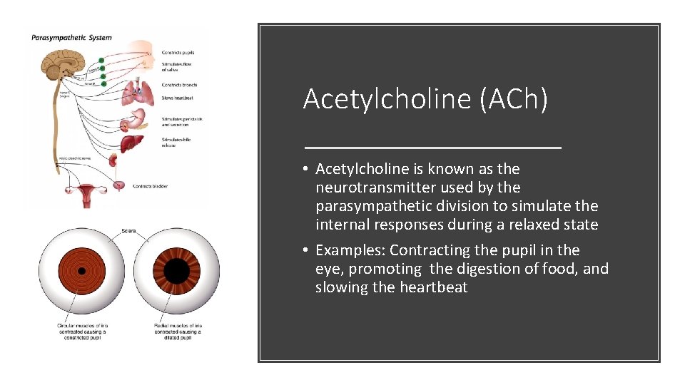 Unit 7 Part 5 3 E 1 Individuals