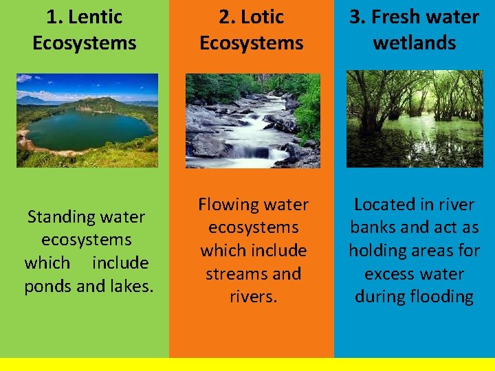 Water An Introduction to aquatic ecosystems An ecosystem