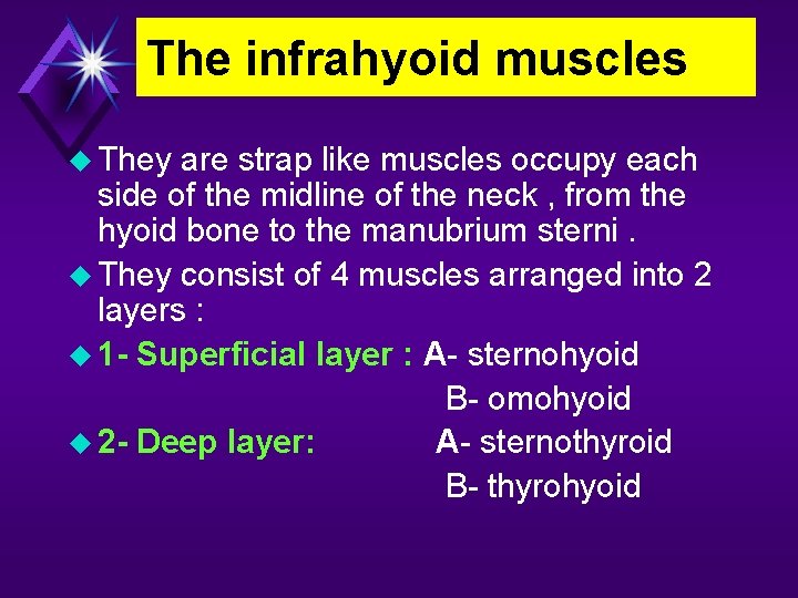 Anatomy of the neck By Dr Medhat Abd