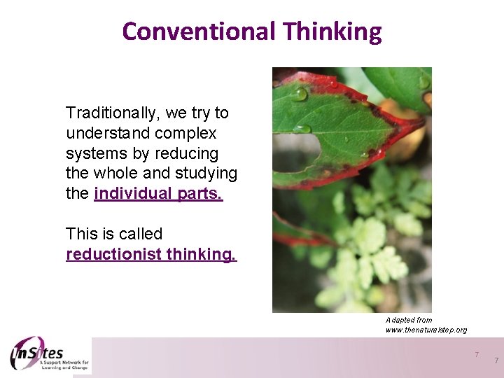 Should Environmental and Social Sustainability be a Core