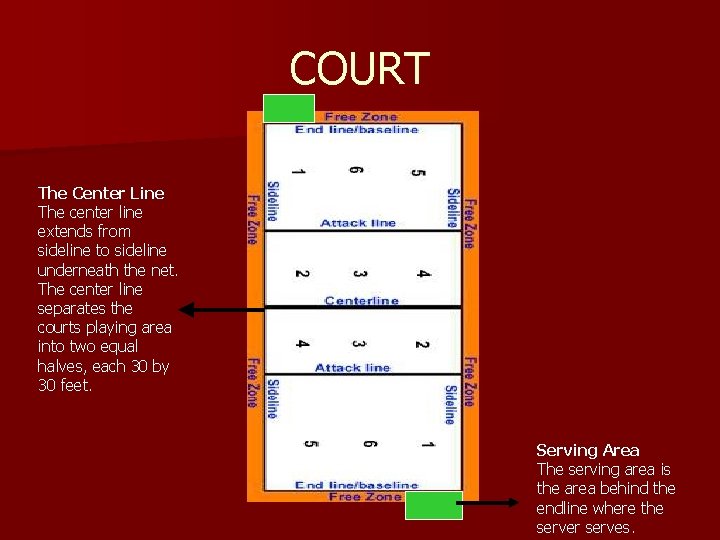 VOLLEYBALL HISTORY In 1895 William G Morgan an