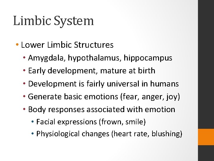 Brain Development In Infants and Toddlers Human Nervous