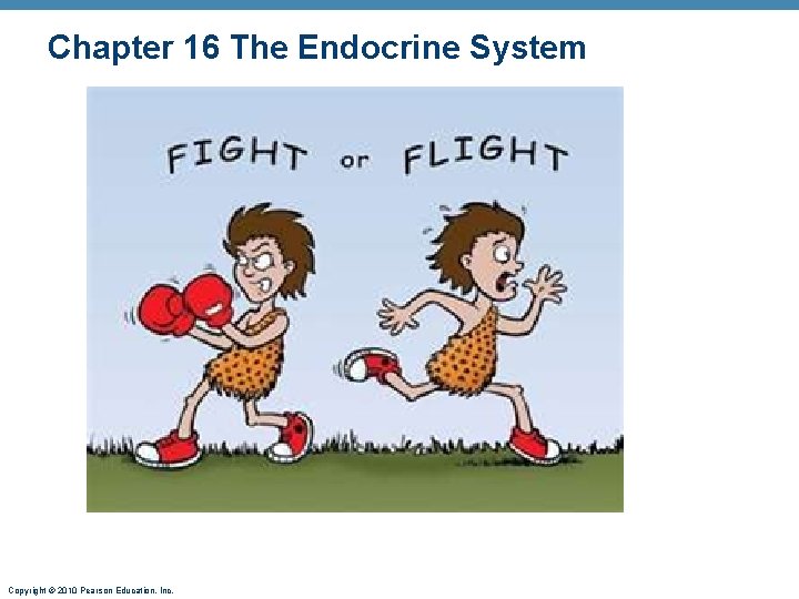 Chapter 16 The Endocrine System Copyright 2010 Pearson