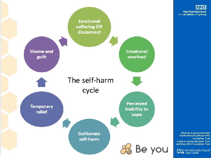 Selfharm Working in partnership with Northumbria Healthcare NHS