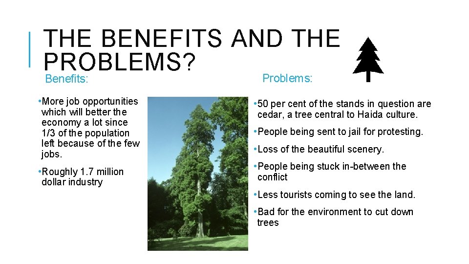 LYELL ISLAND CONFLICT Anna Kobelev WHAT IS IT