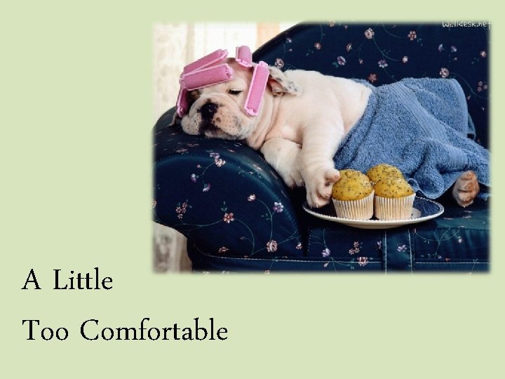 A Little Too Comfortable A Little Too Comfortable