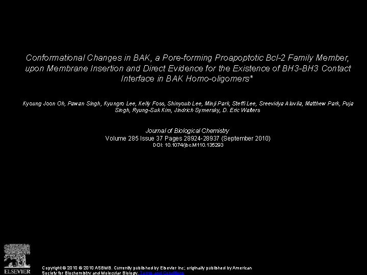 Conformational Changes in BAK a Poreforming Proapoptotic Bcl2