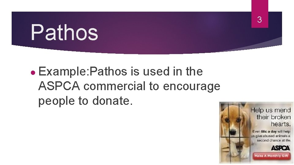 Term Presentation BY ERIKA BEALS AND KENDALL HAMILTON