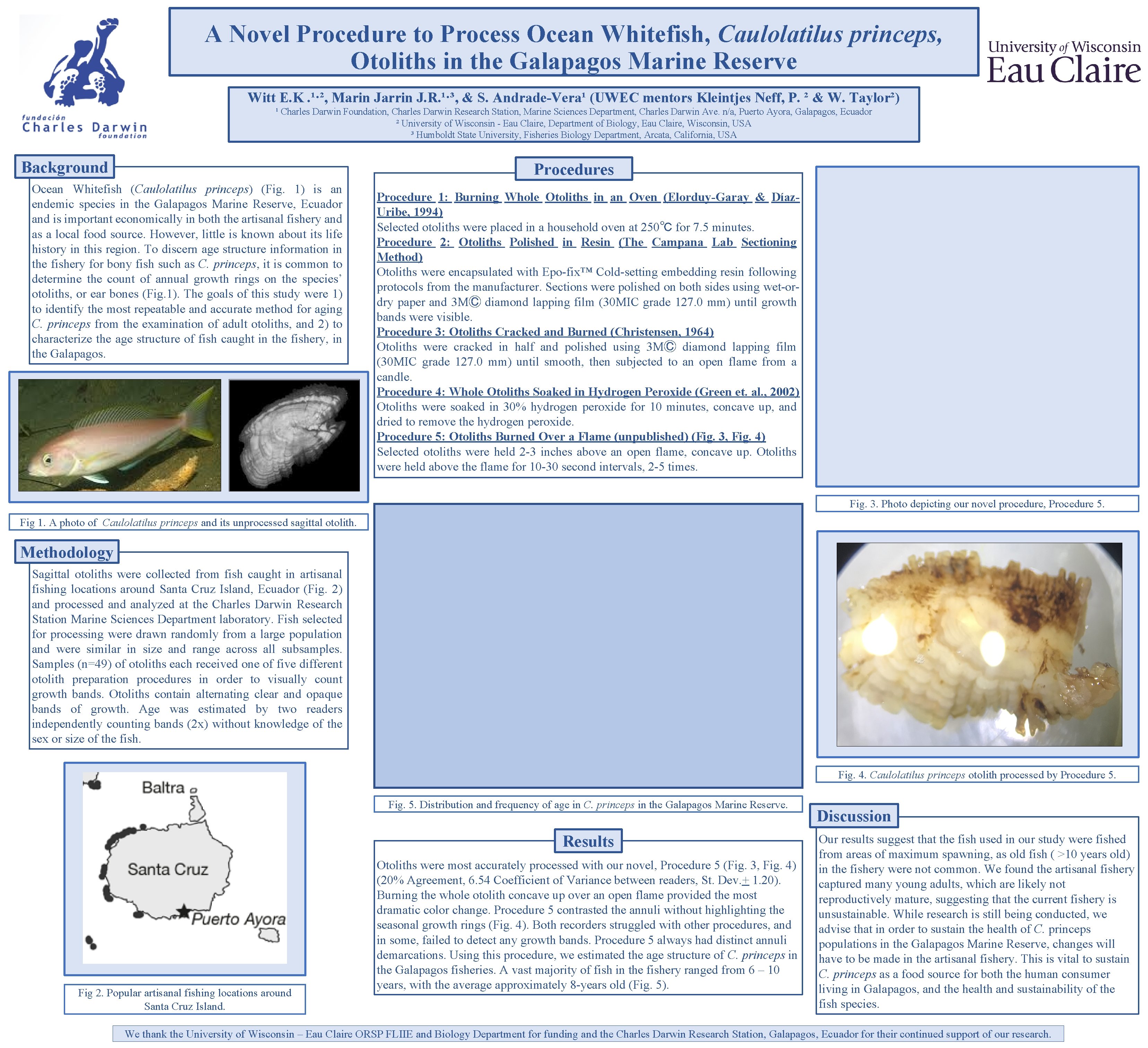 A Novel Procedure to Process Ocean Whitefish Caulolatilus