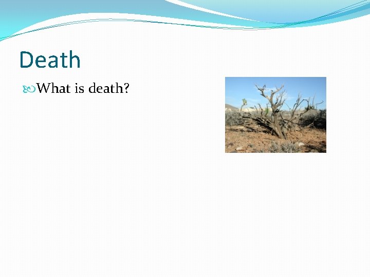 Properties of Life Packet 3 AP Biology Chapter