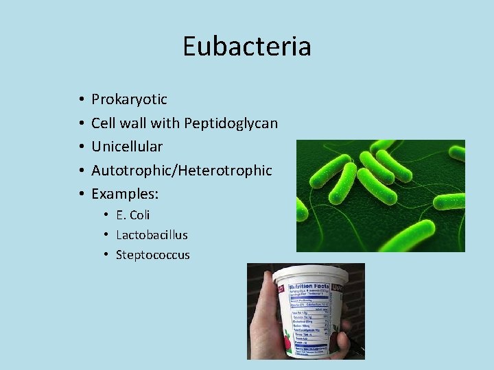 Characteristics of Domains Kingdoms Objective Distinguish between each