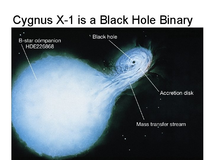 Cygnus X1 is a Black Hole Binary Accretion