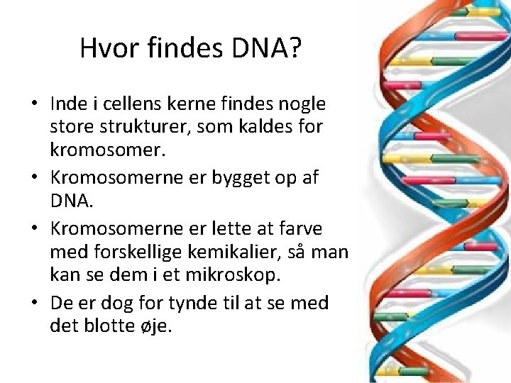 DNA Hemmeligheden bag arvelighed Hvad betyder DNA DNA