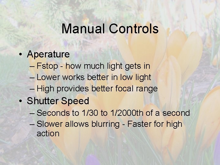 Choosing and Using a Digital Camera Kevin Amboe