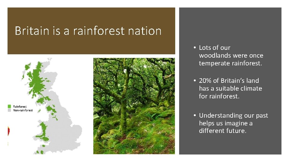 Reforest the UK How to double tree cover