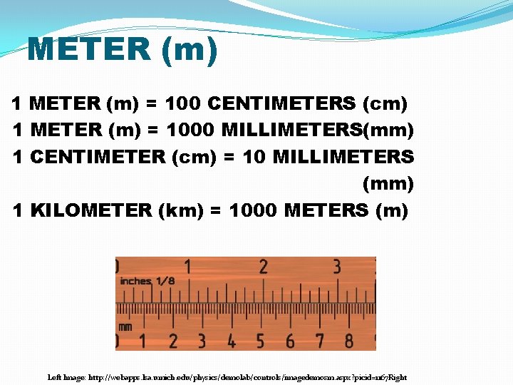 METRIC MEASUREMENTS Left Image http webapps lsa umich