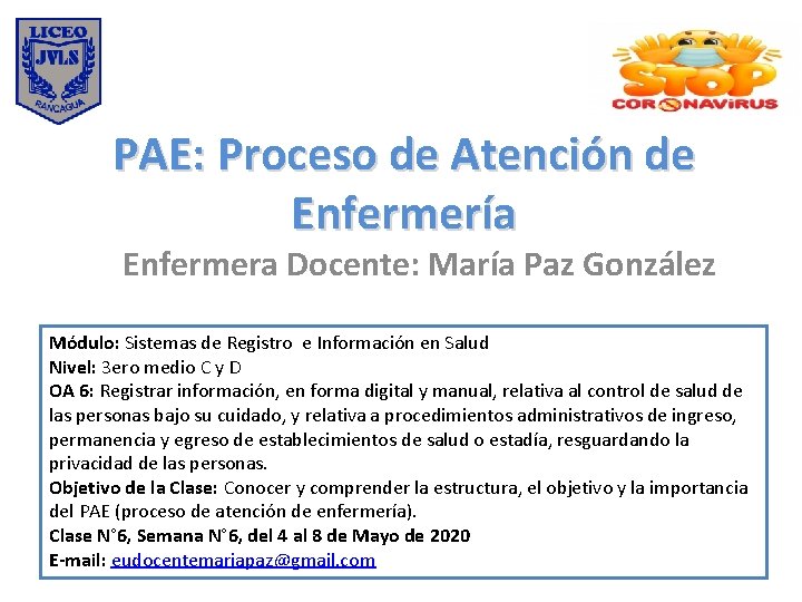 PAE Proceso de Atencin de Enfermera Enfermera Docente