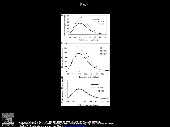 D 1 Ring Is Stable and Nucleotideindependent whereas