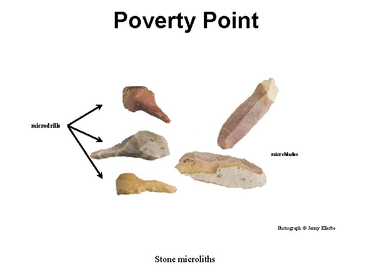 Learn about Louisianas Past through Archaeology Poverty Point