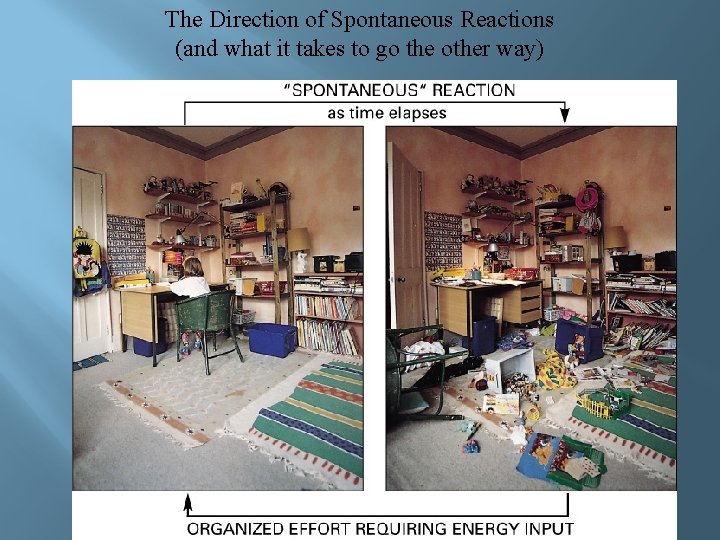 The Direction of Spontaneous Reactions and what it