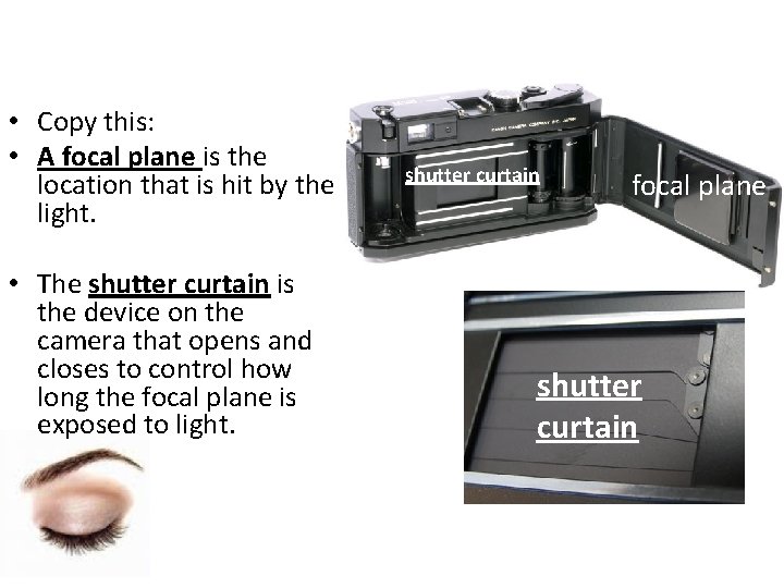 PHOTOGRAPHY 1 The pictures with the best contrast