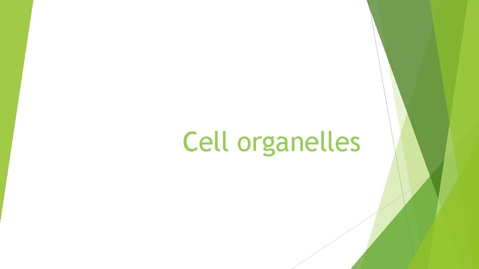 Cell organelles 7 Peroxisomes contain enzymes that transfer