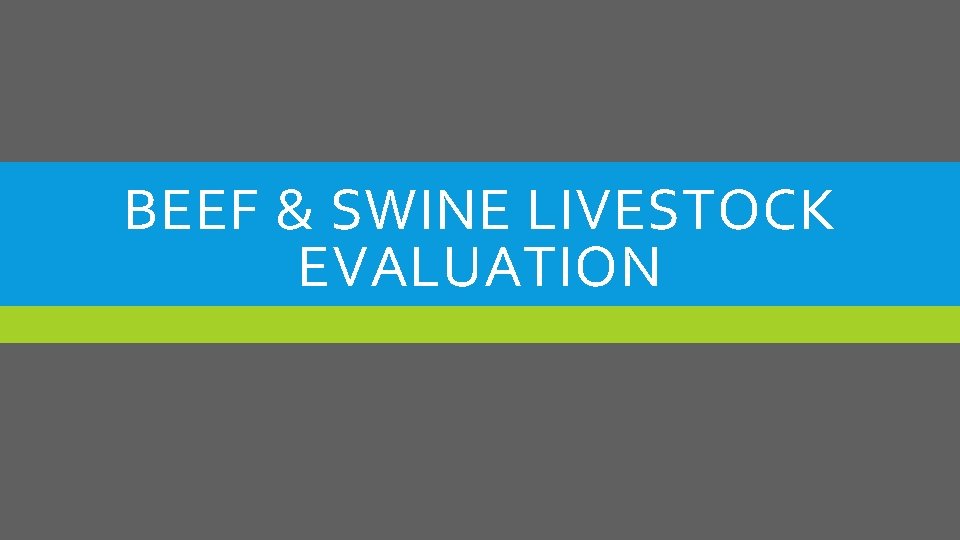 UNIT 4 Understanding Agriculture Animals BEEF SWINE LIVESTOCK