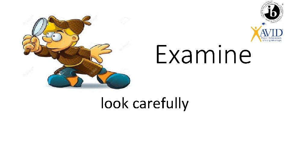 High Frequency Word Wall Analyze dissect break down