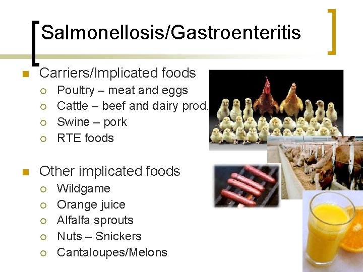 The Microworld Foodborne Diseases Definitions n n Foodborne