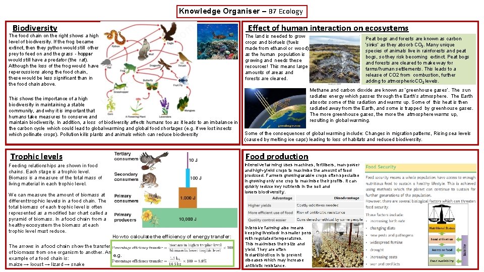 Knowledge Organiser B 7 Ecology Communities Abiotic and