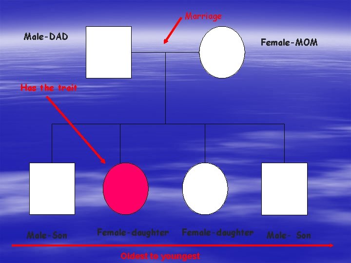 Pedigree Charts The family tree of genetics What