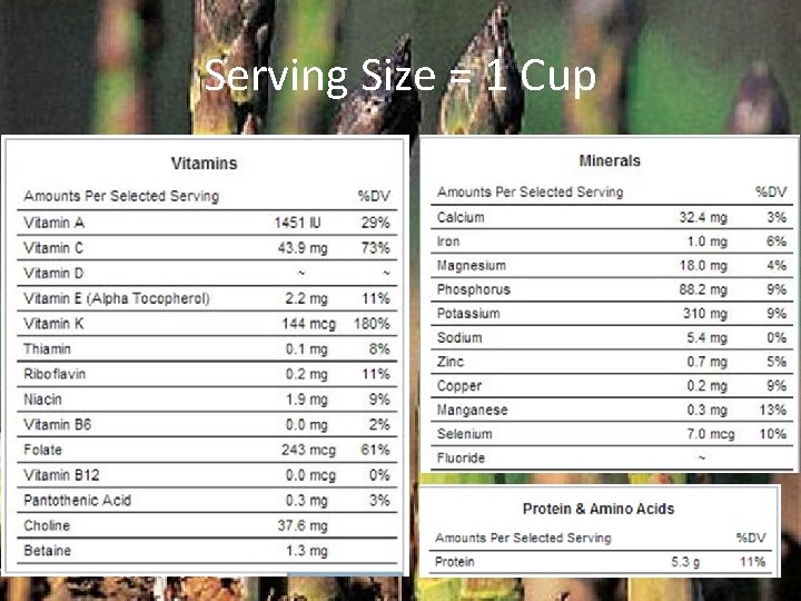 Asparagus Classification Kingdom Plantae Plants Subkingdom ...