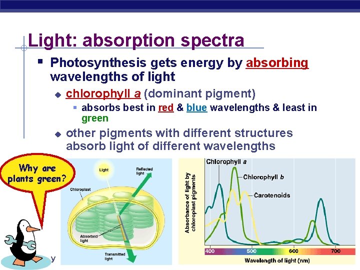 Photosynthesis Life from Light AP Biology How are