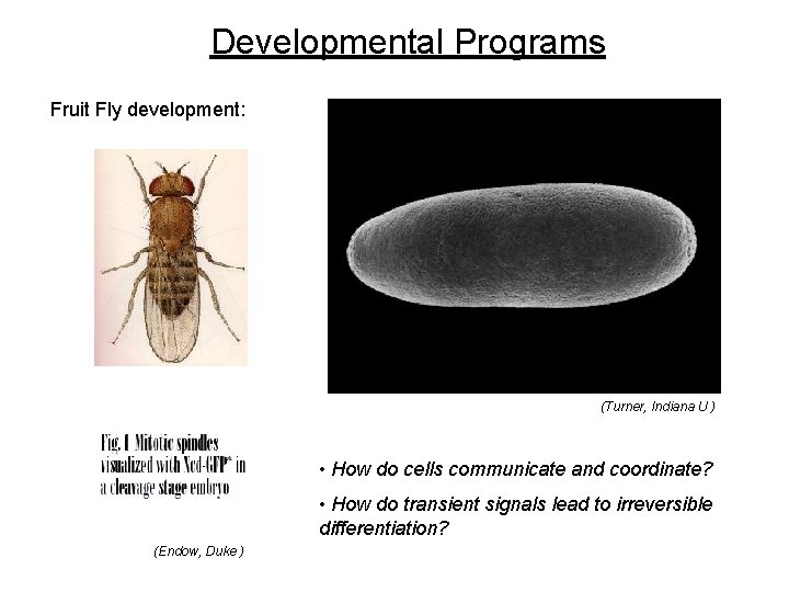 Complex Systems in Biology Ken Dill Christopher Voigt