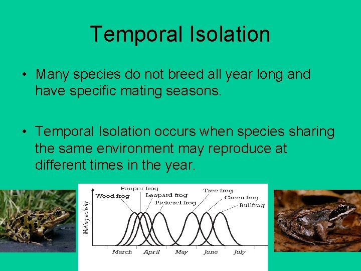 Do Now 1 Explain the difference between directional