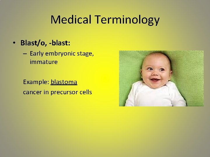 Medical terminology Medical Terminology Adipo lipo Fat Example