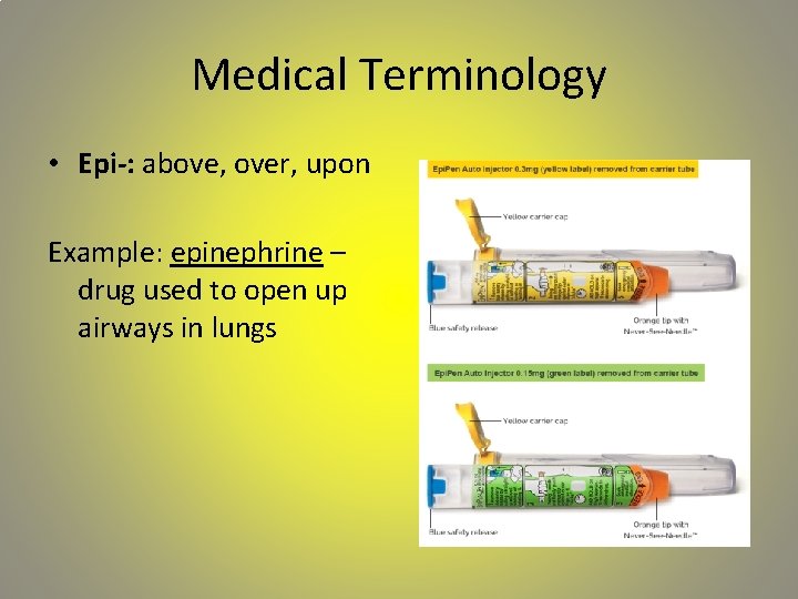 Medical terminology Medical Terminology Adipo lipo Fat Example