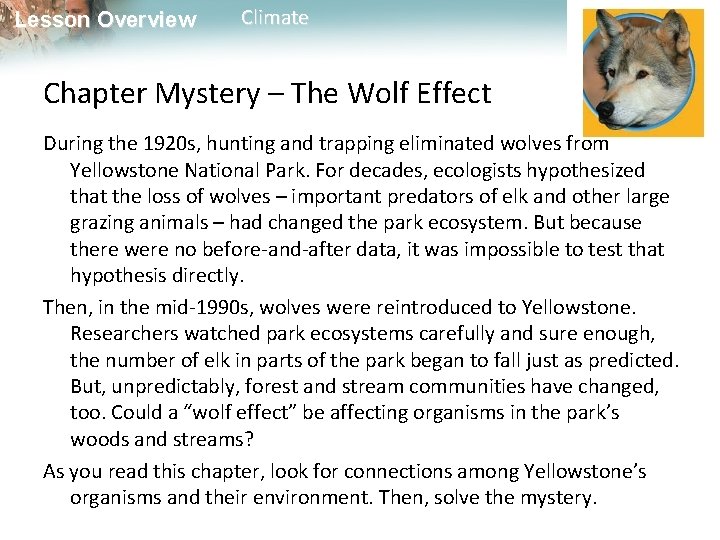 Lesson Overview Climate Chapter 4 Ecosystems and Communities