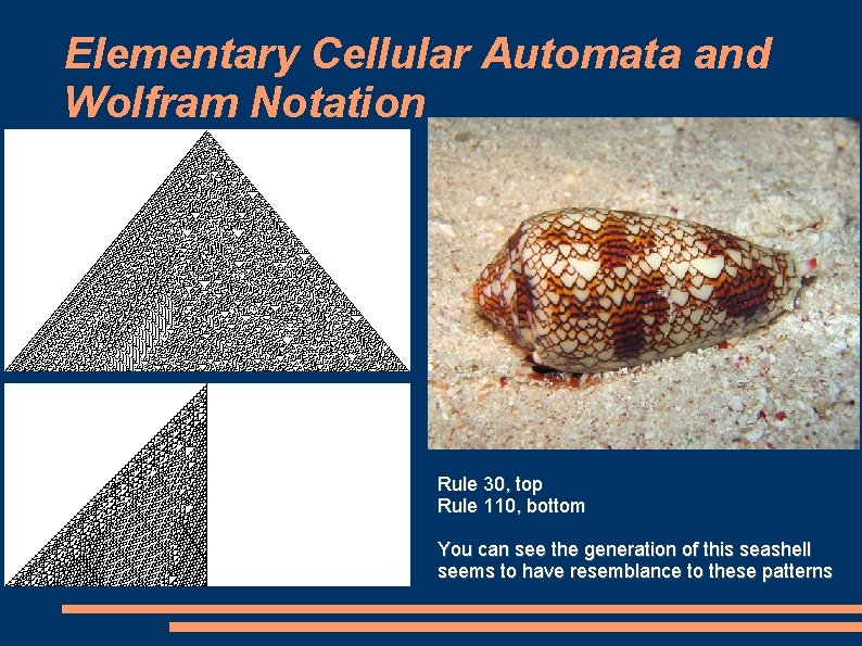 Cellular Automata The Game of Life Matthew Willingham
